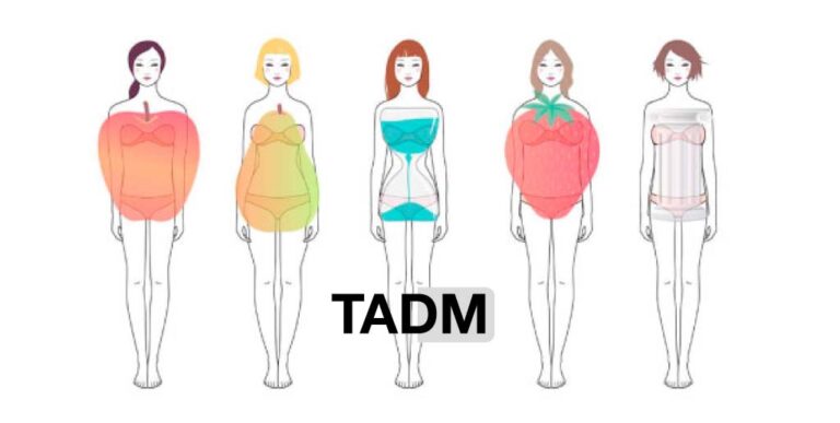 FEMALE BODY TYPES - charts, TYPES, ¿How to dress it? 2023